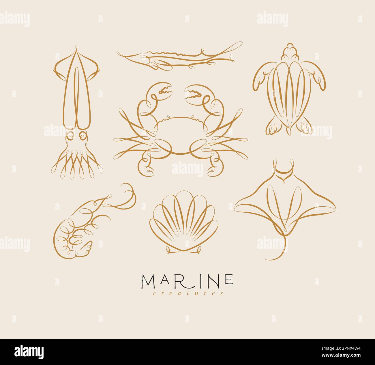 Filigree swirl sea and ocean creatures squid, fish, crab, turtle ...