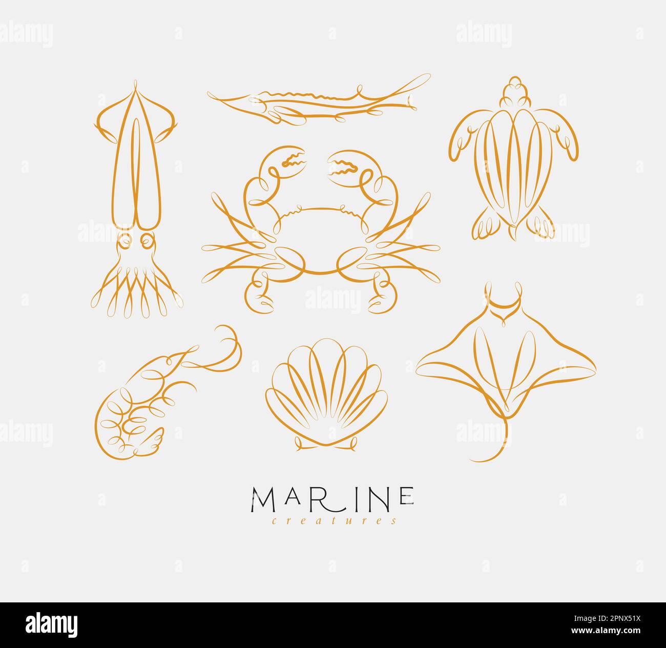 Filigree swirl sea and ocean creatures squid, fish, crab, turtle ...