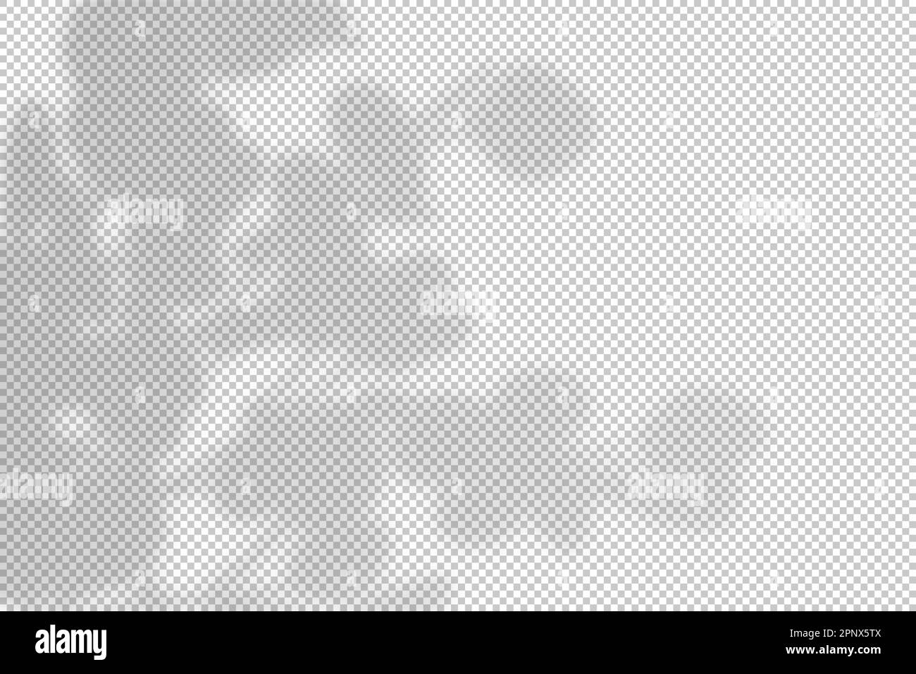 Tree leaf shadow. Plant leaves overlay shade. Soft reflect light from ...