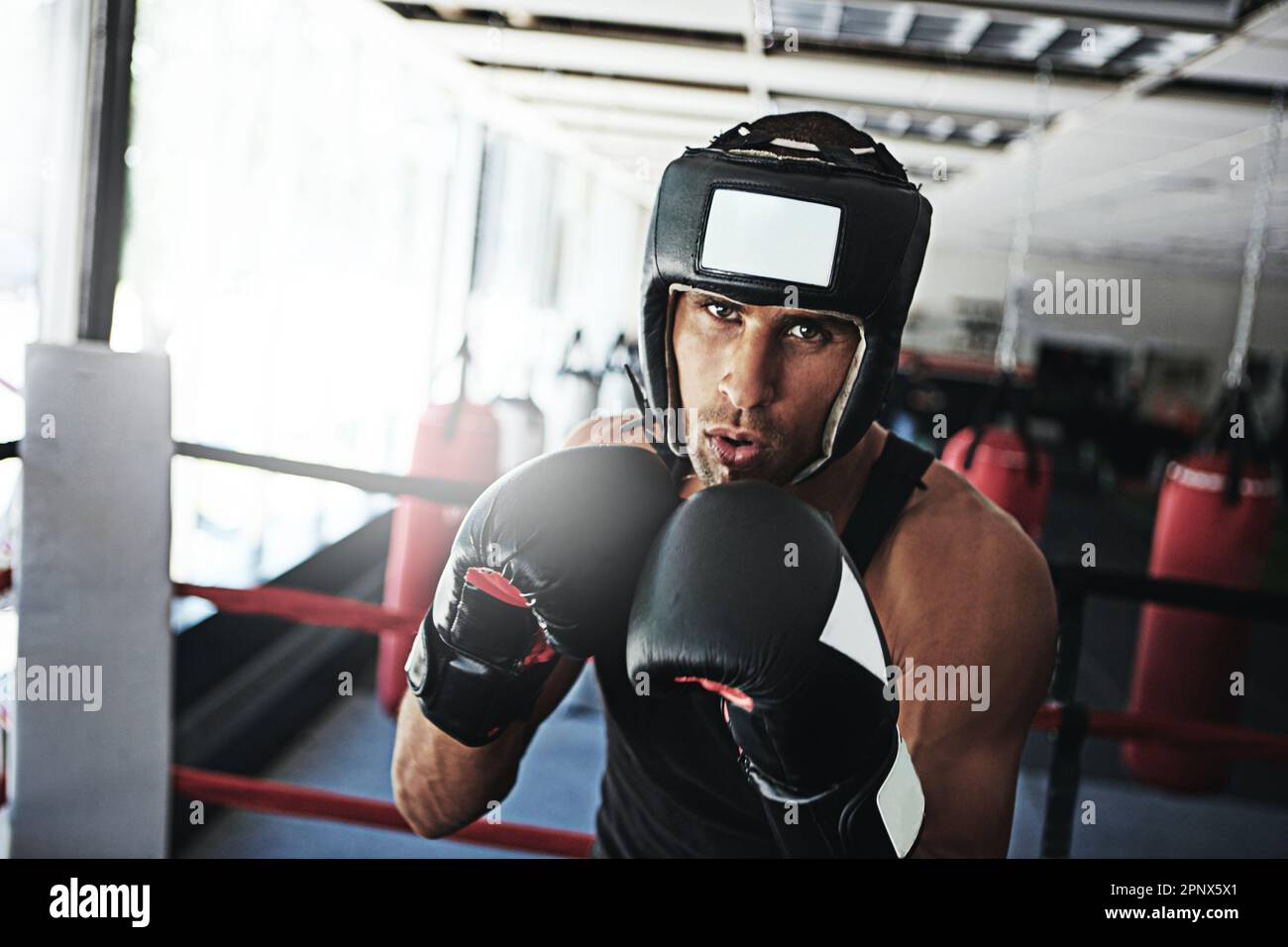 Pro boxing training hi-res stock photography and images - Alamy