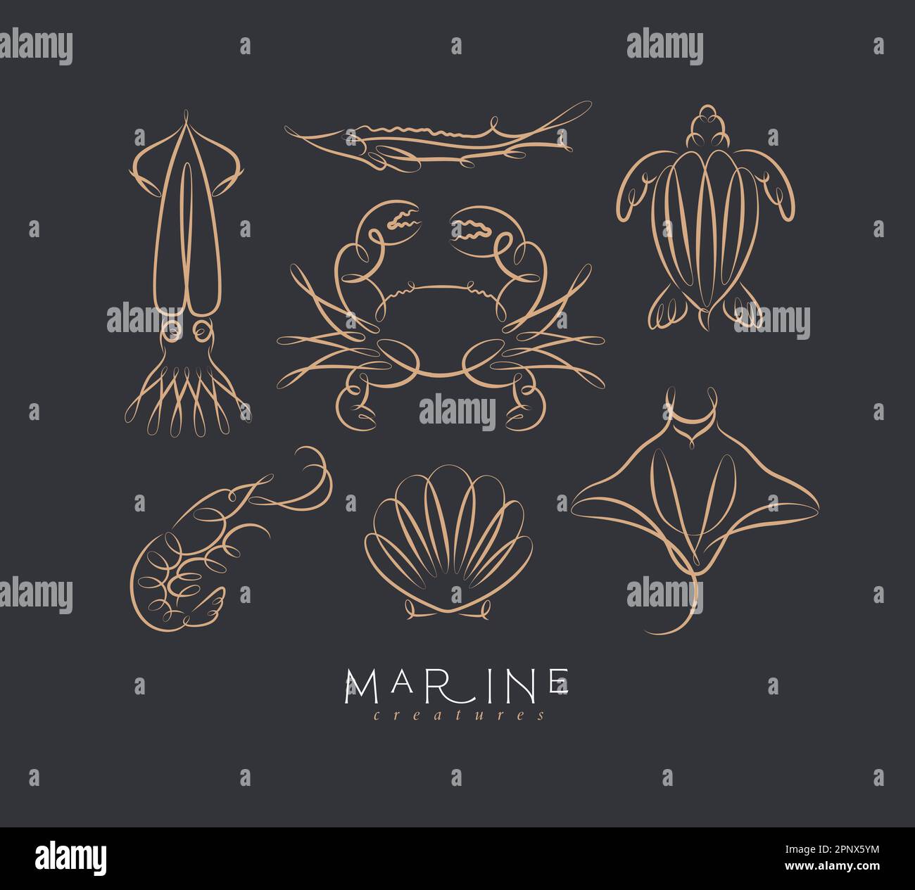 Filigree swirl sea and ocean creatures squid, fish, crab, turtle ...