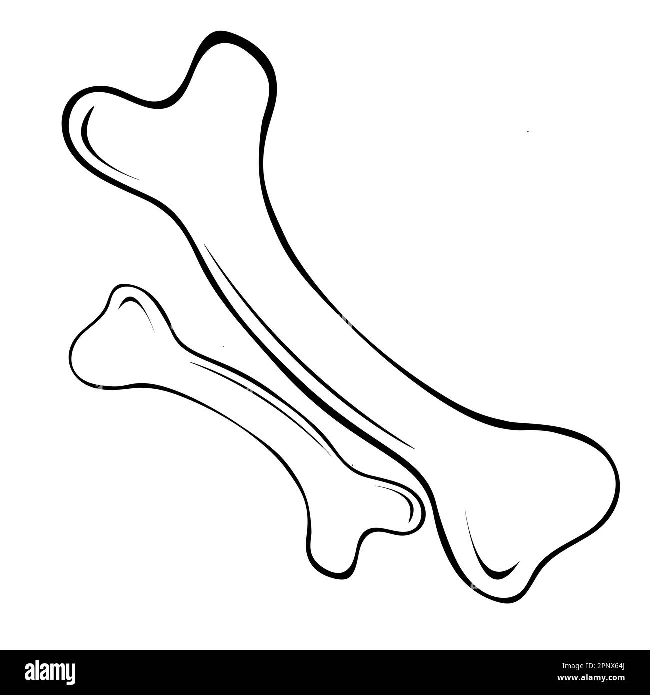 Black and white Vector illustration of bones on a white background ...