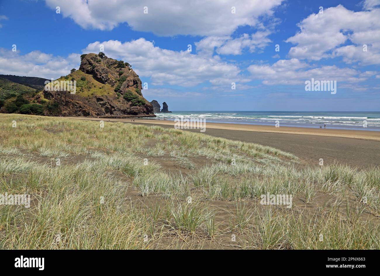 Piha beach - new Zealand Stock Photo - Alamy