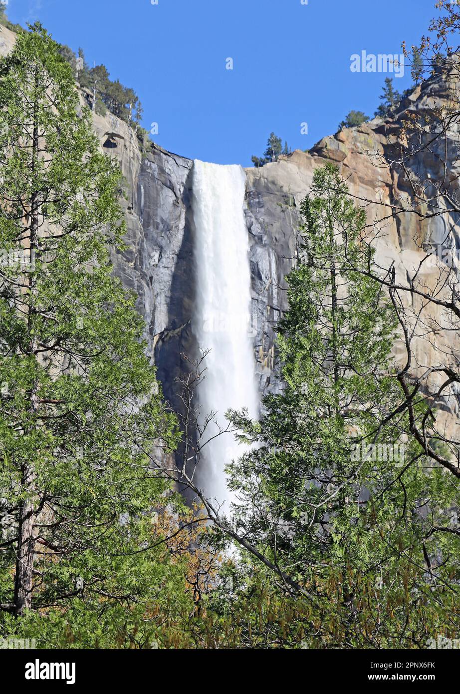 Fall vertical hi-res stock photography and images - Alamy