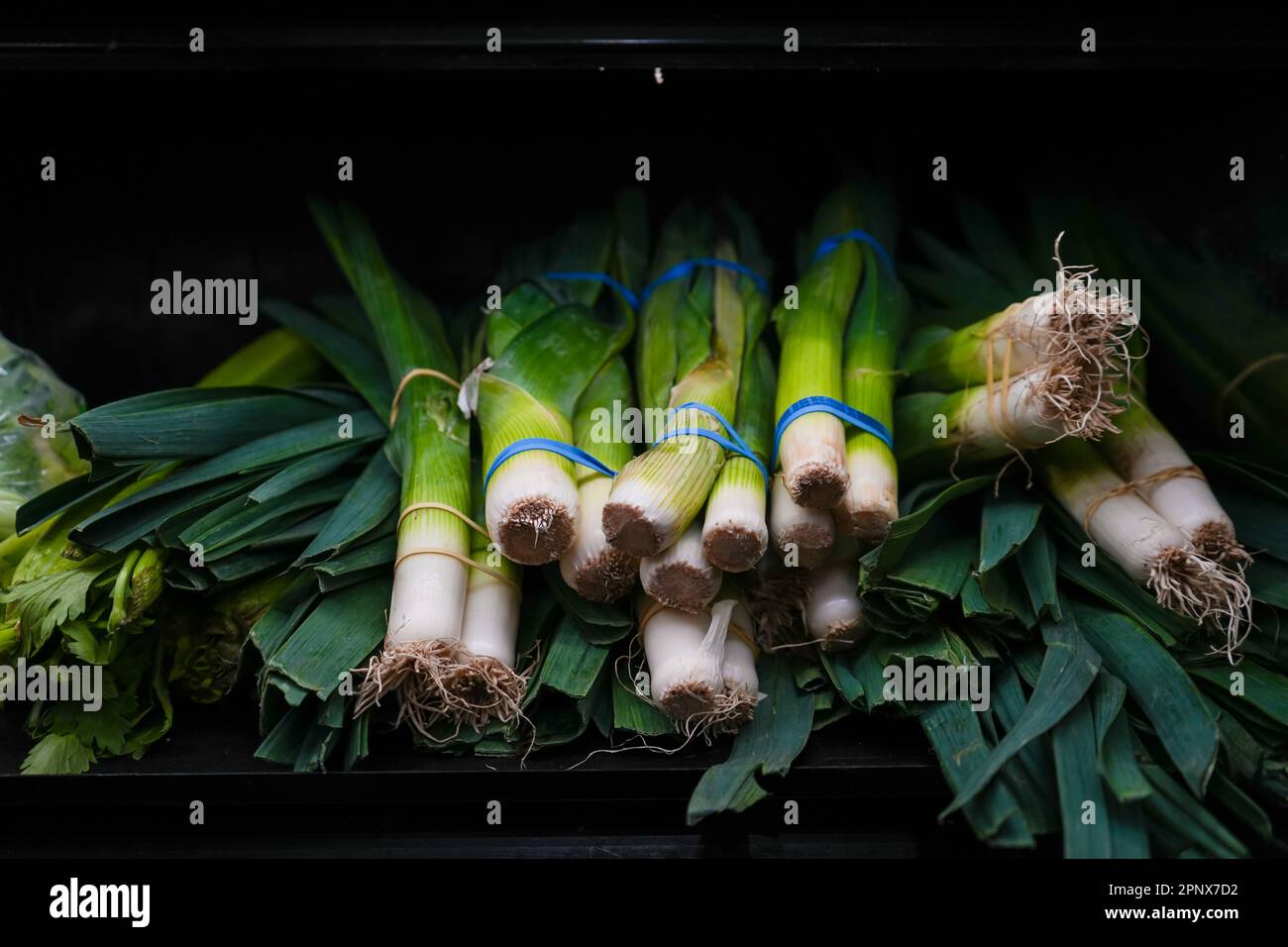 Leek roots close up hi-res stock photography and images - Alamy
