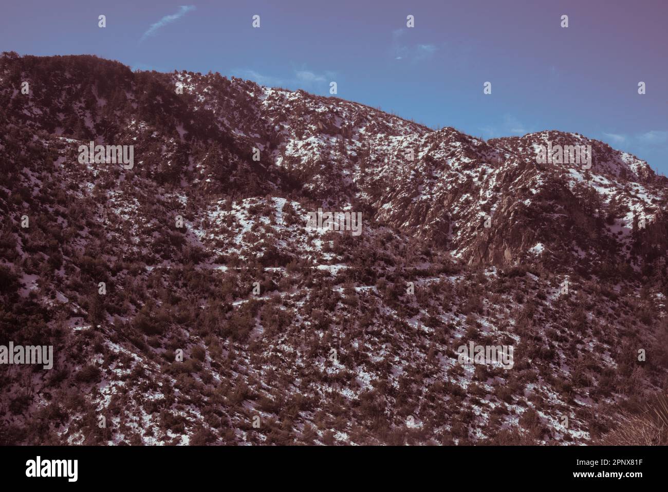 Angeles National forest covered in snow, mother nature's beauty and ...