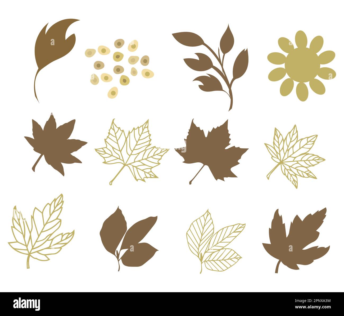 Set of autumn fall leaves and berries, hand-drawn vector illustration ...