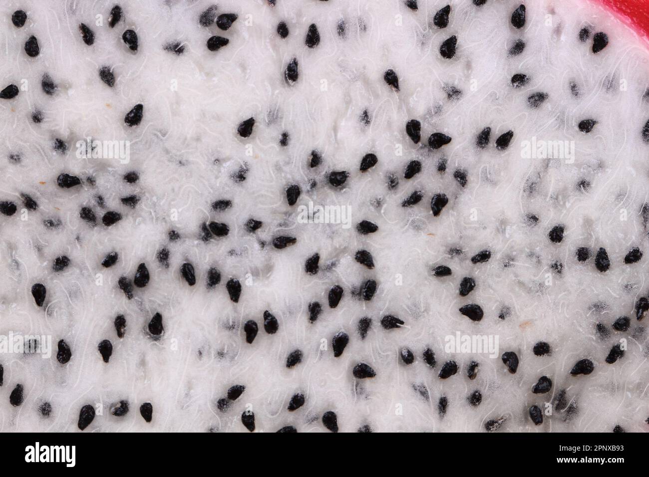 dragon fruit texture as nice exotic food background Stock Photo - Alamy