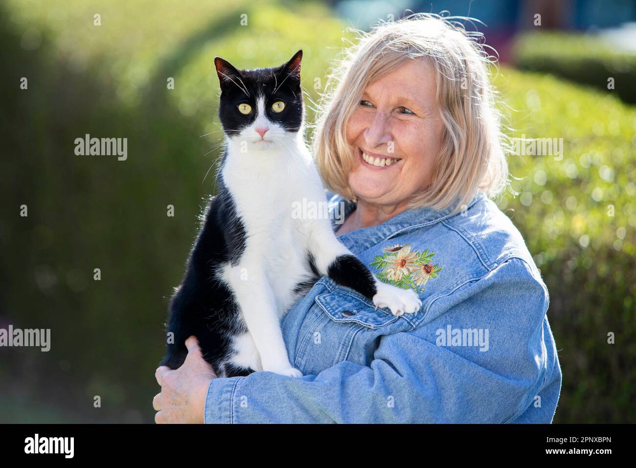 Holmewood hi-res stock photography and images - Alamy