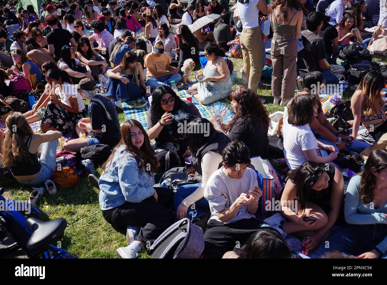 Weed day 2023 hi-res stock photography and images - Alamy