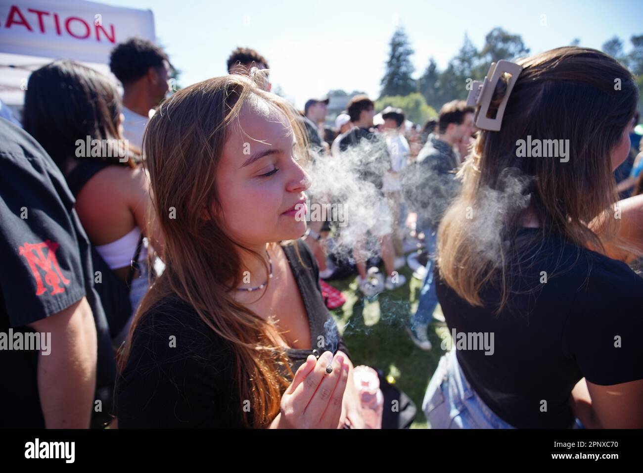Group Of People Smoking Weed