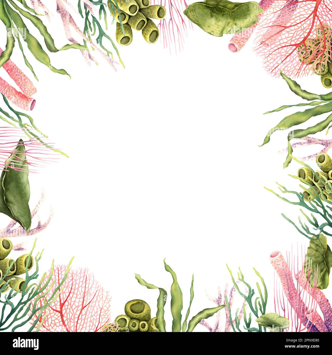 Frame border with underwater corals and plants. Hand drawn watercolor ...