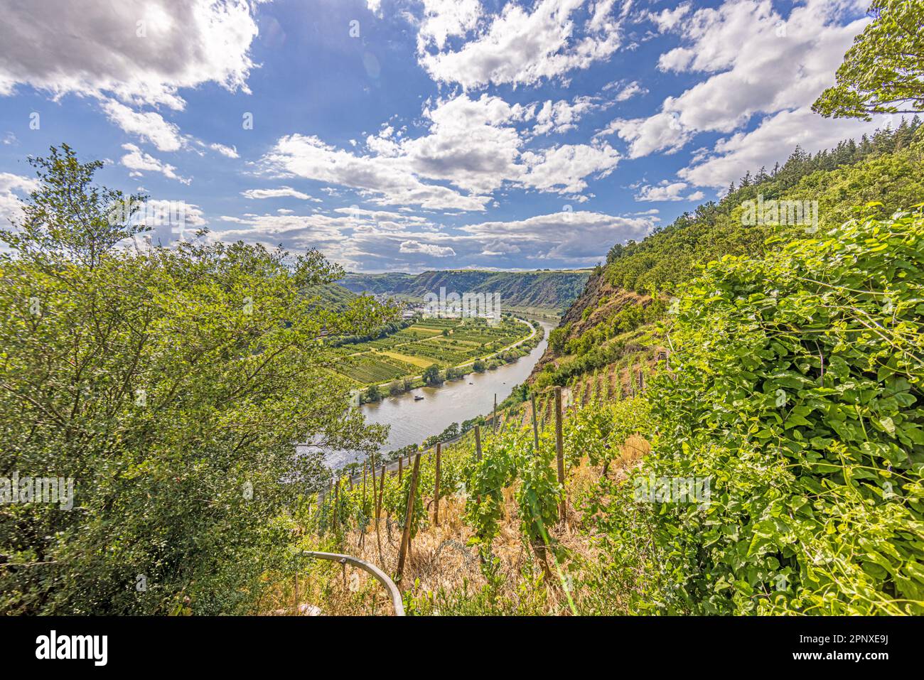 Panoramic picture over German river Mosel with Mosel valley bridge and ...