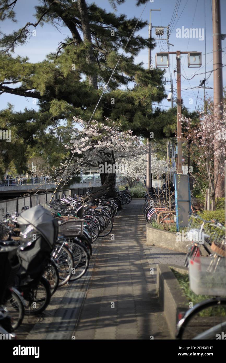 Bike parking in street hi-res stock photography and images - Alamy