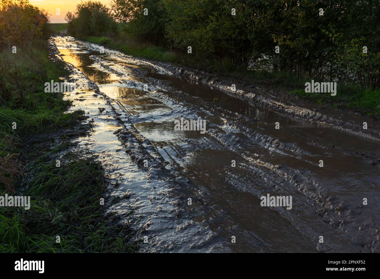 Vanishing dirt road with deep rut and puddles in village at sunset ...