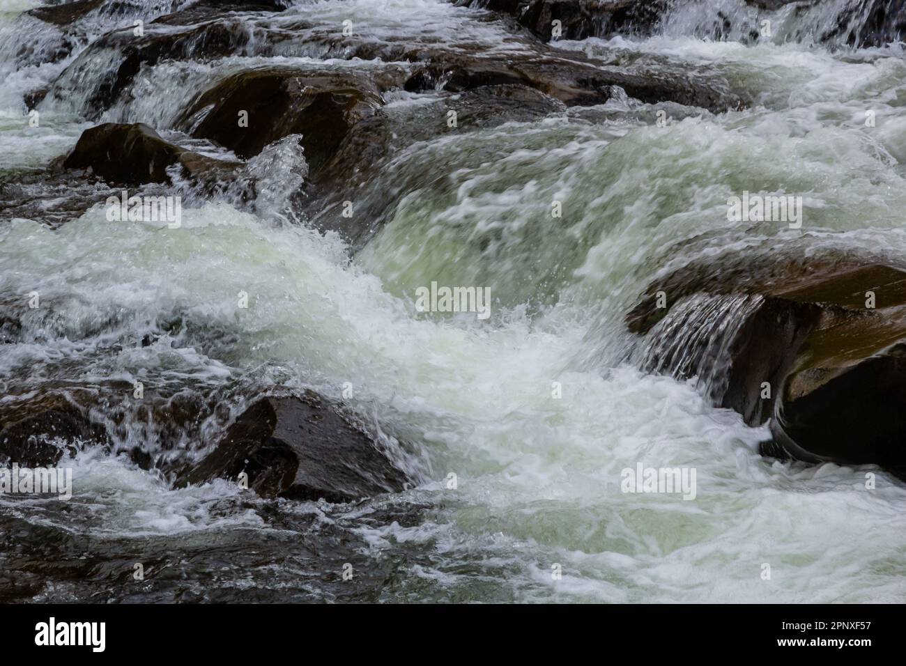rapids of mountain rivers with fast water and large rocky boulders ...