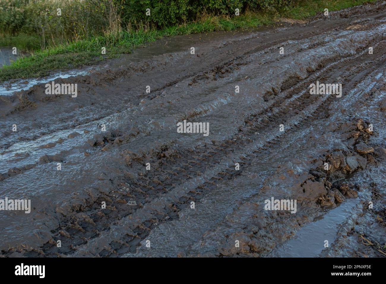 Vanishing dirt road with deep rut and puddles in village at sunset ...