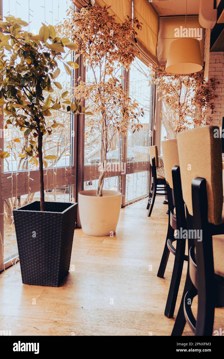 Restaurant interior. Plant in vases near windows and chairs. Hotel hall ...