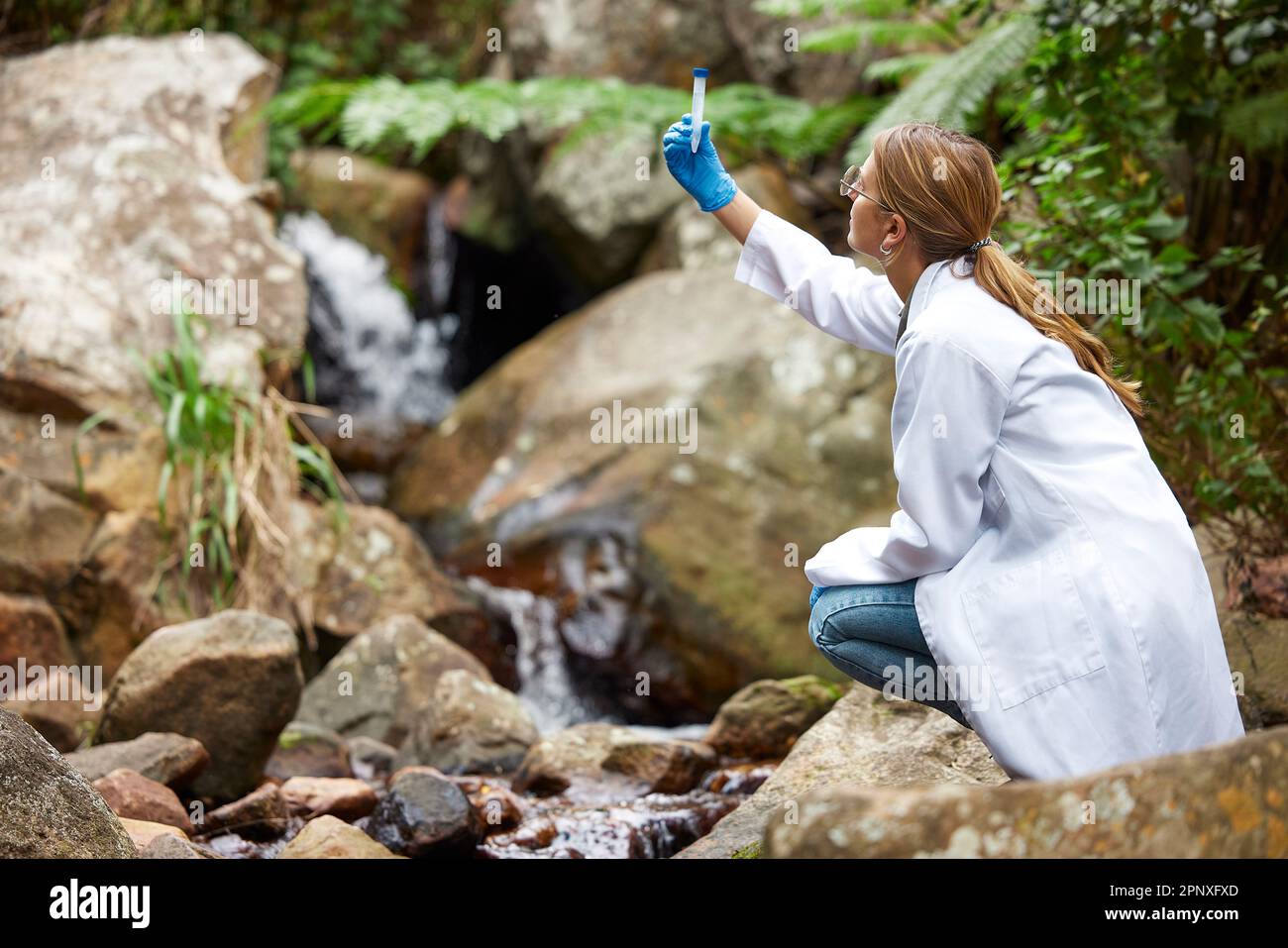 Nature, analysis and a woman with water for research, test for ...