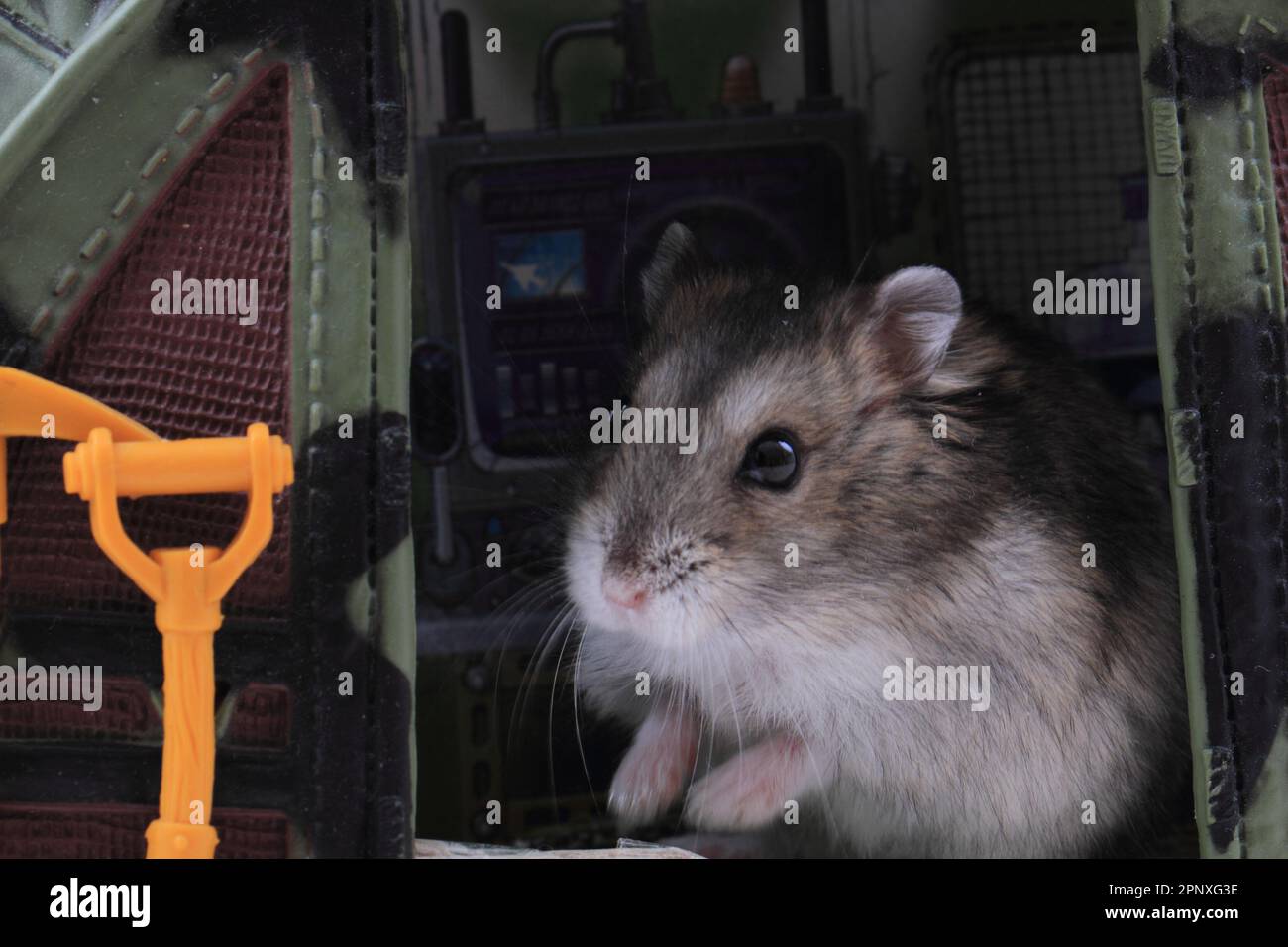 Military home hi-res stock photography and images - Alamy