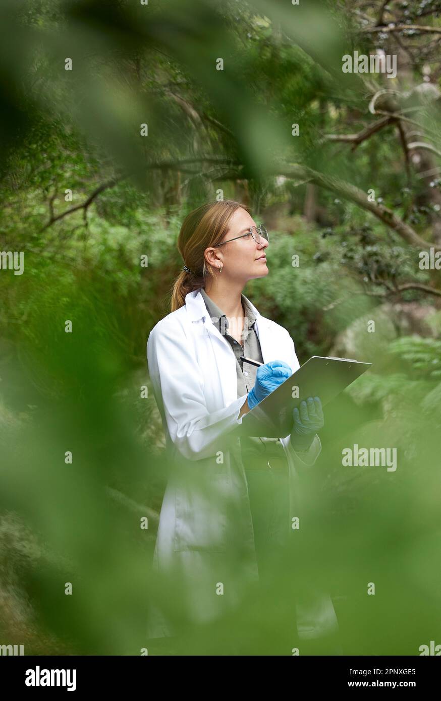 Clipboard, nature and scientist woman in green agriculture research ...