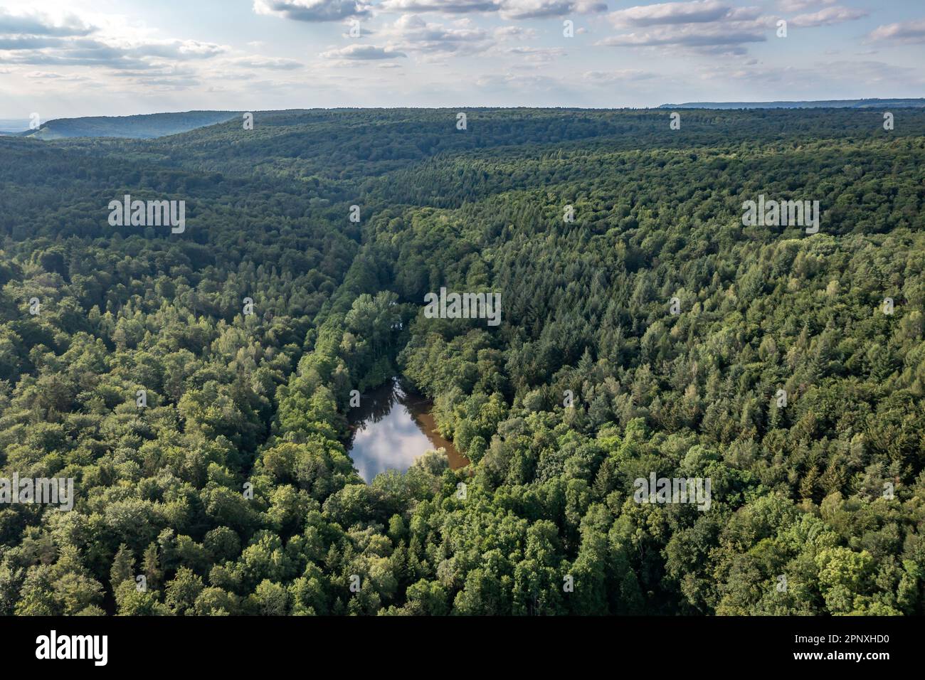 aerial view of a large deciduous forest area in bavaria Stock Photo - Alamy