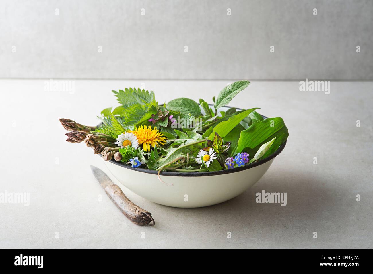 Wild garlic, nettle, dandelion and other medicinal herbs and wild ...