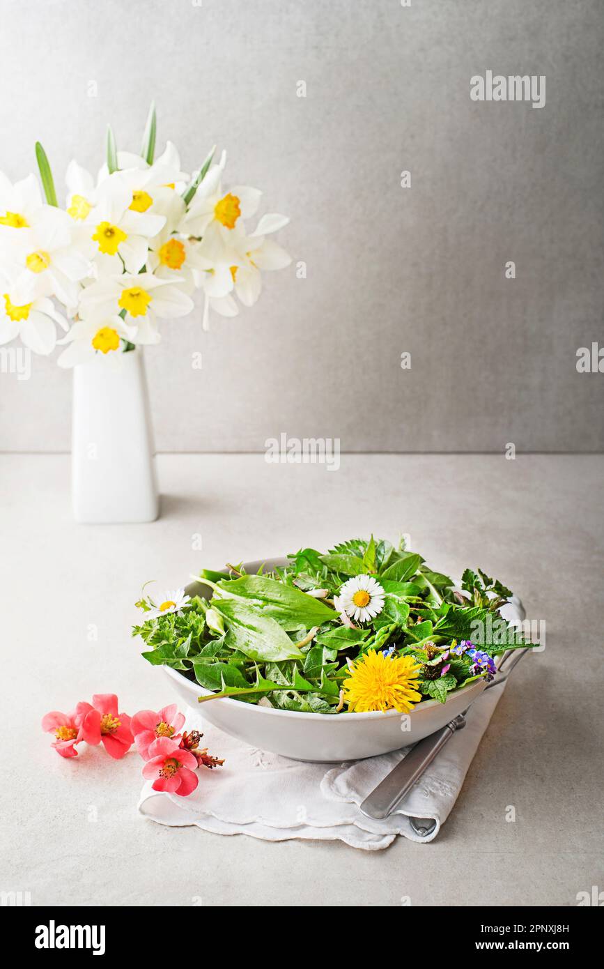 Wild garlic, nettle, dandelion and other medicinal herbs and wild ...