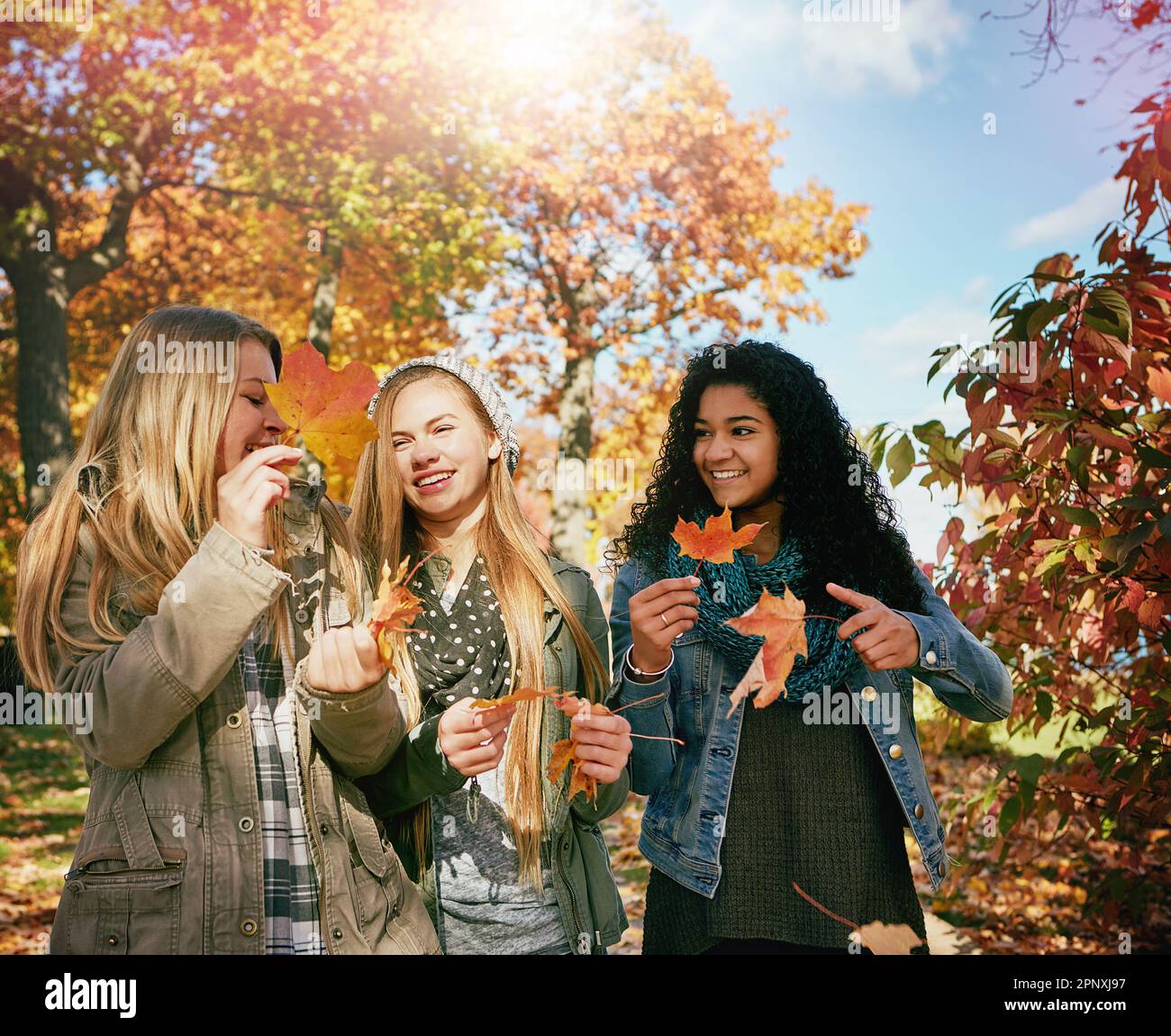 Keep your friends close. a group of teenage friends enjoying an autumn ...