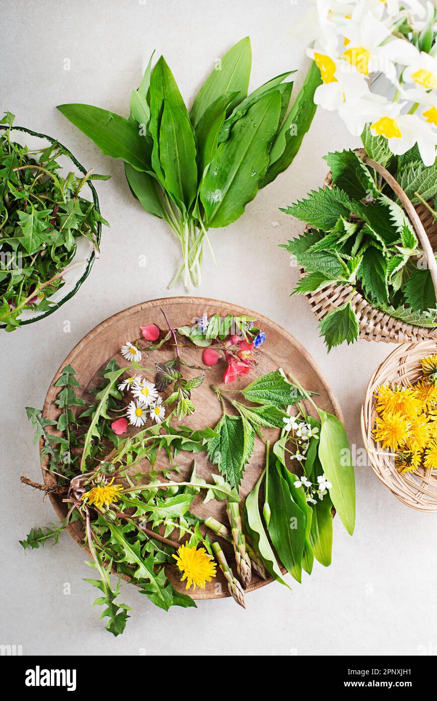 Wild garlic, nettle, dandelion and other medicinal herbs and wild ...