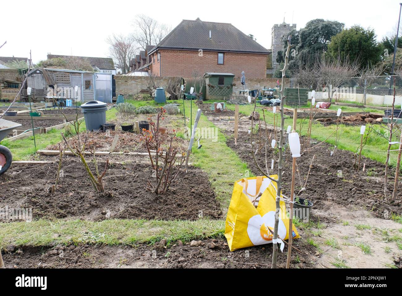 English allotment garden in early Spring Stock Photo - Alamy