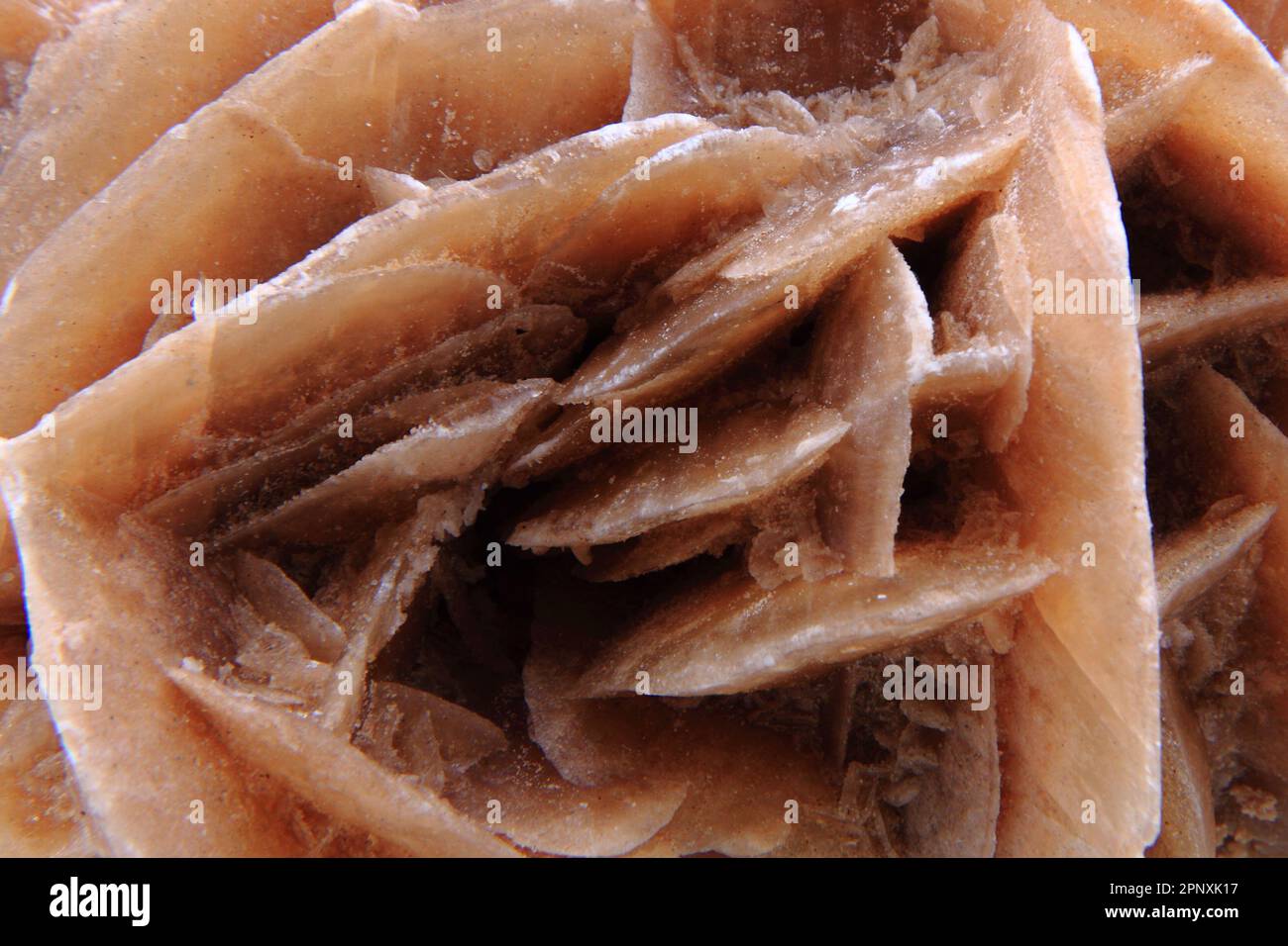 desert rose mineral as natural mineral background Stock Photo - Alamy