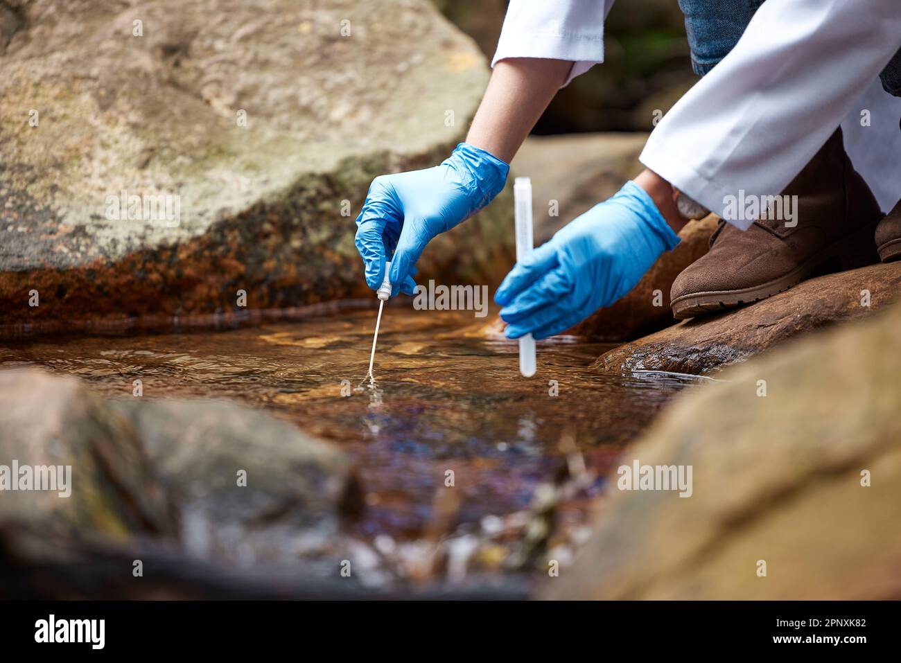 Science, nature and scientist with water sample for inspection ...