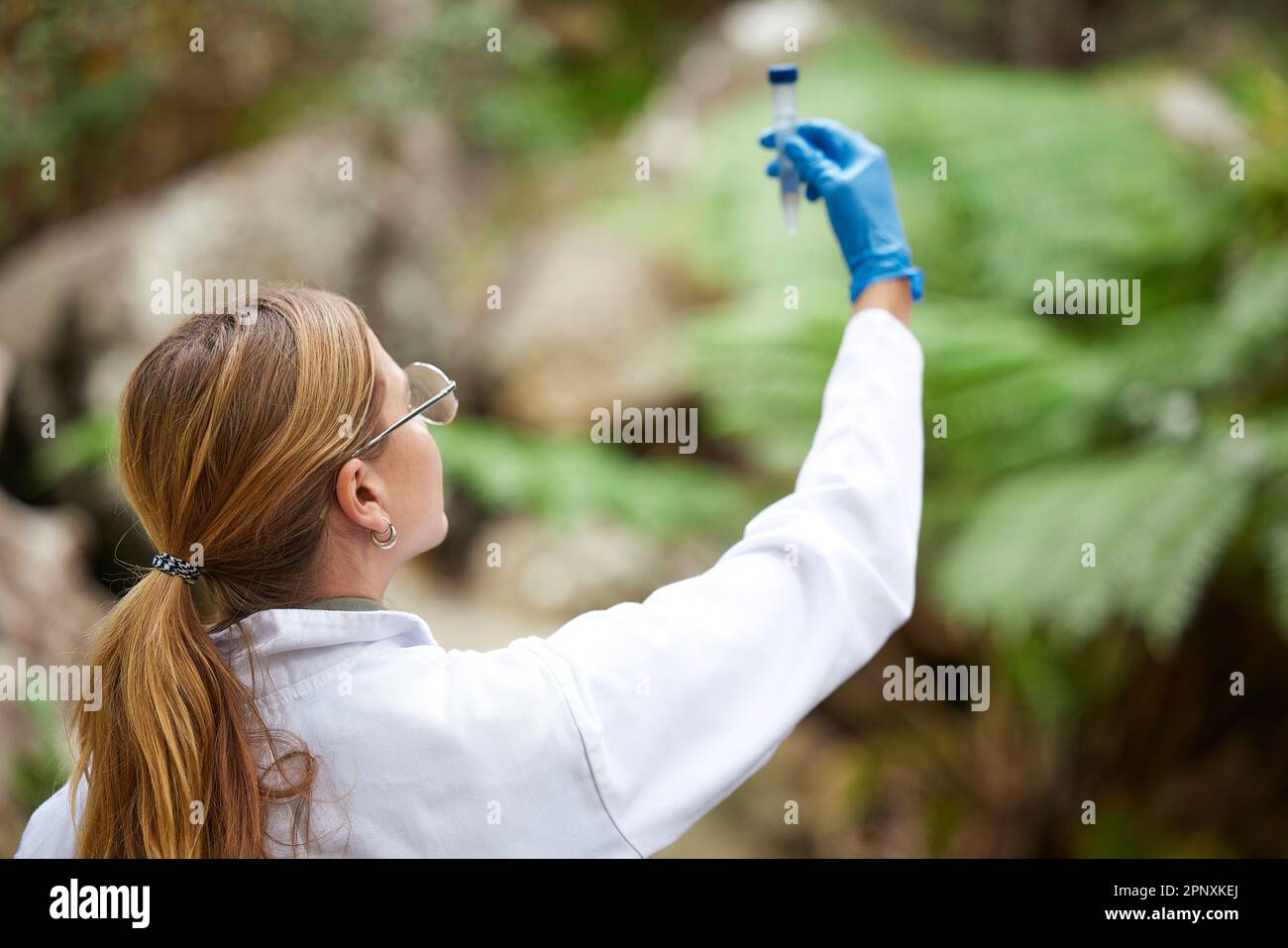 Science, nature and woman with sample for inspection, environmental and ...