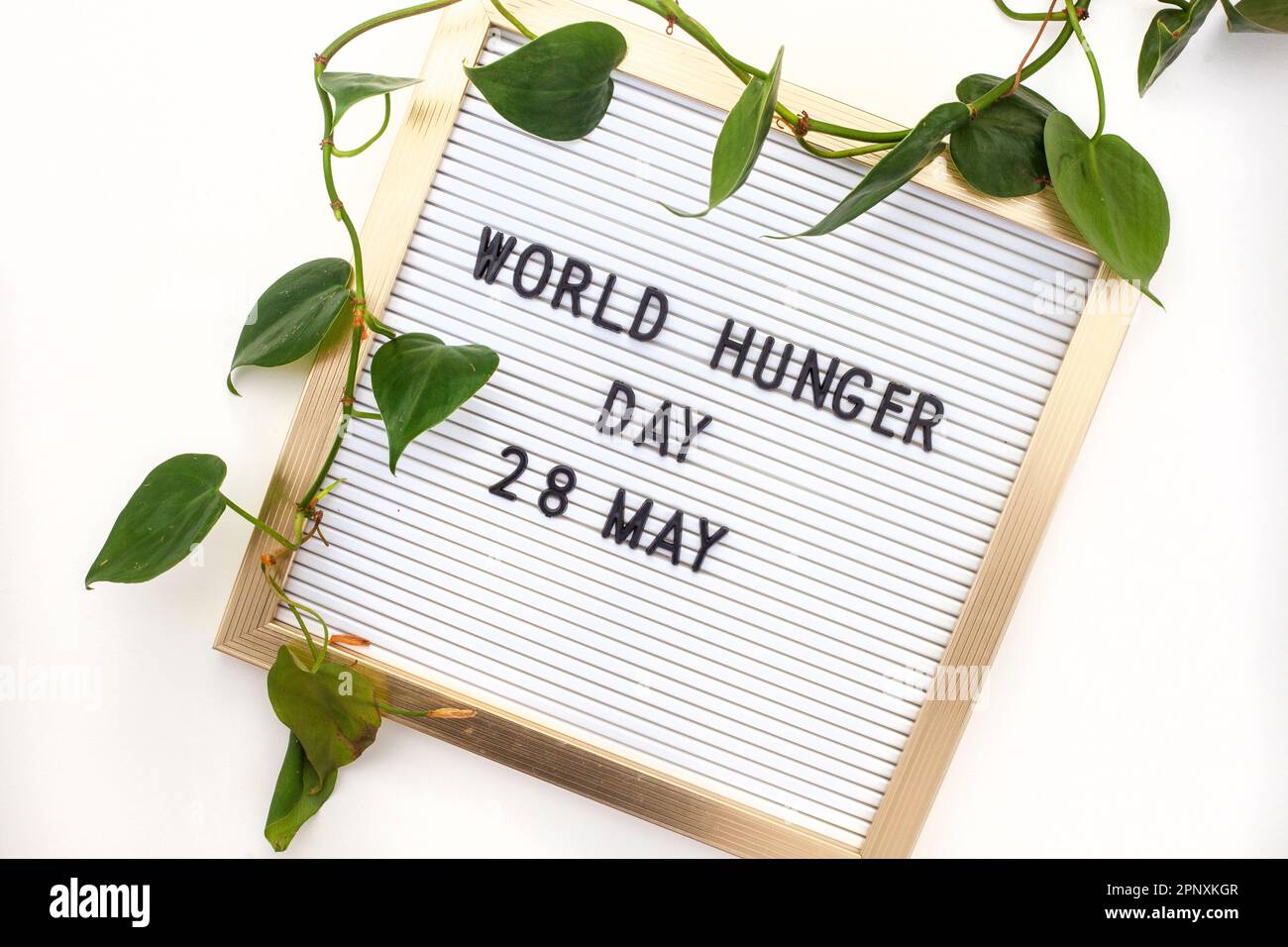 world hunger day 28 May on notice board Stock Photo - Alamy