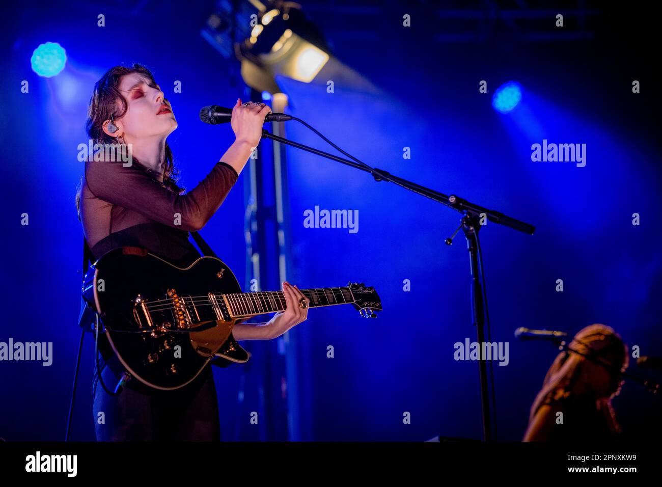 Birdy 2023 hi-res stock photography and images - Alamy