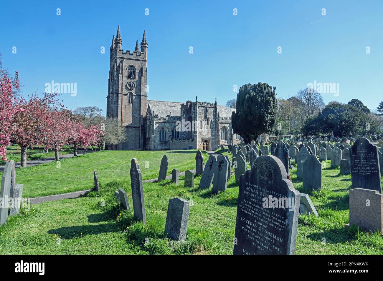 The south face of the Parish Church of St Mary in Plympton. with spring ...