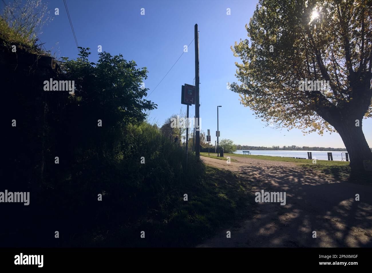 Path by the lakeshore in a park at sunset Stock Photo - Alamy