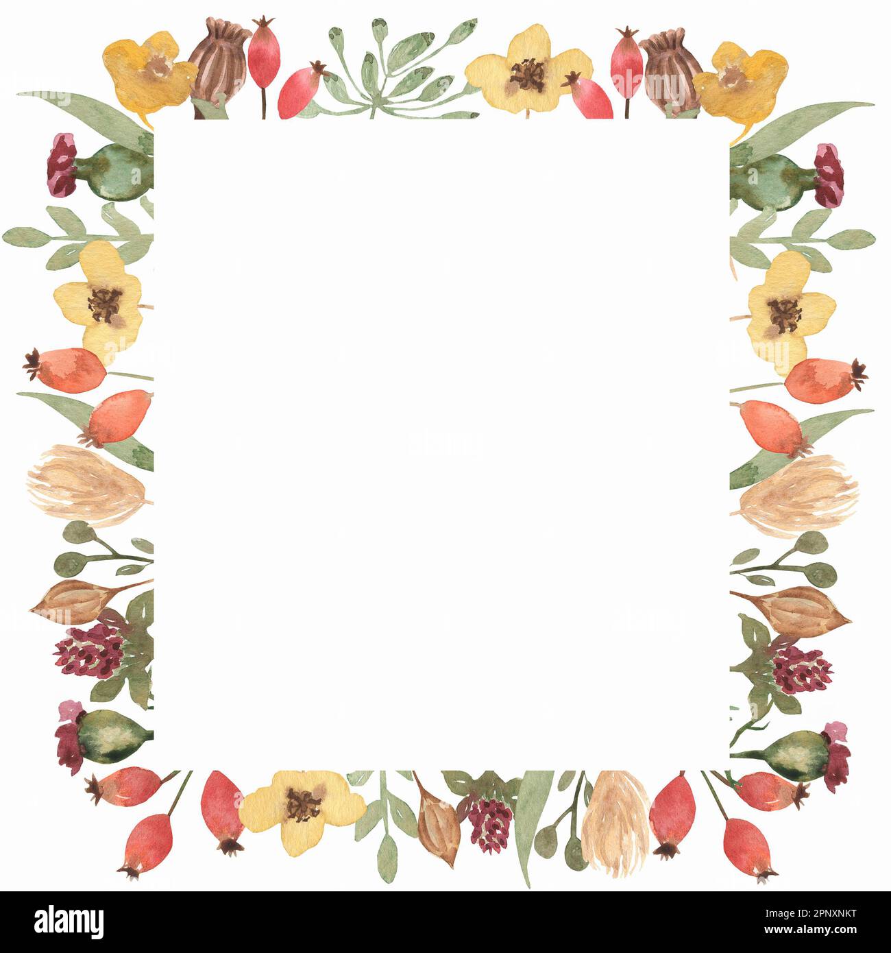 Wildflower Clipart, Watercolor Meadow Flowers Frame Clip art, Field ...