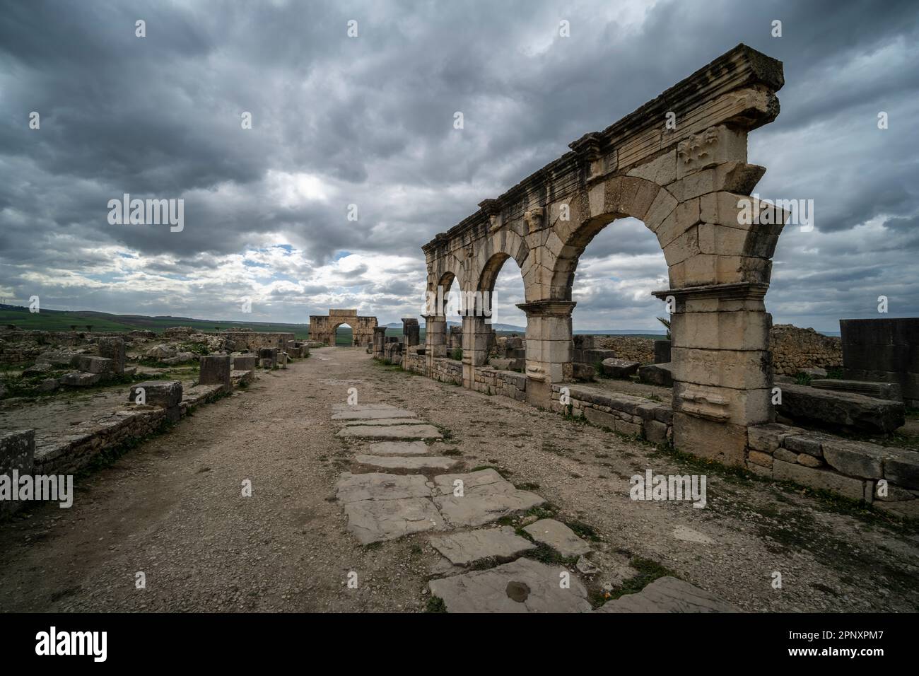 Archaeological remains of the ancient Roman city of Volubilis Stock ...