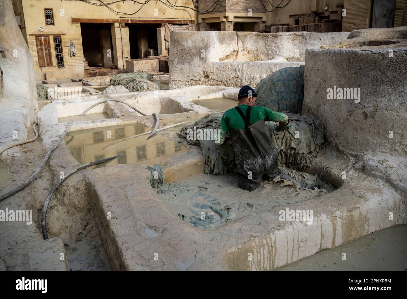 Worker in the tanneries of Fez handling skins inside a pool, for ...
