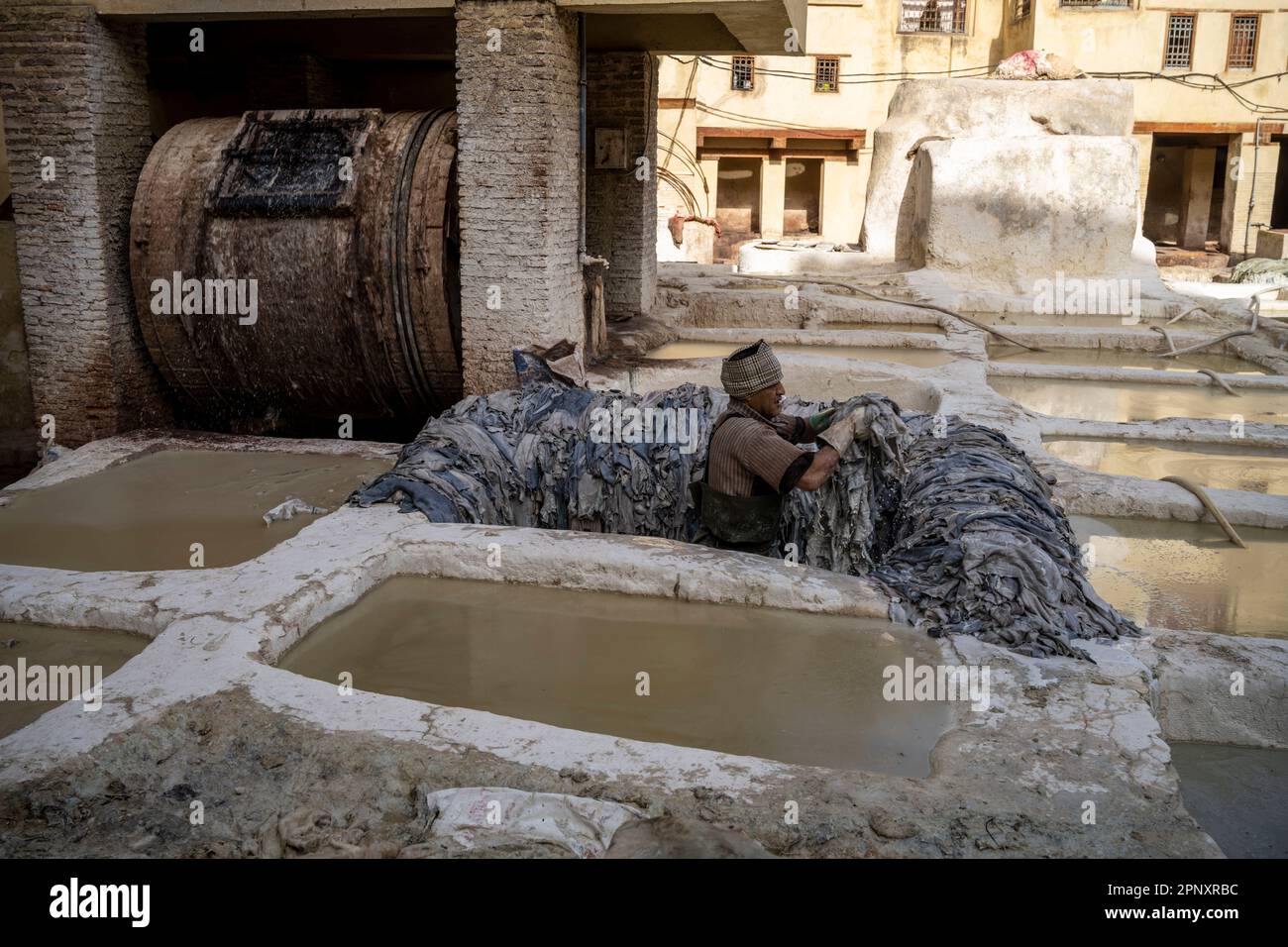 Worker in the tanneries of Fez handling skins inside a pool, for ...