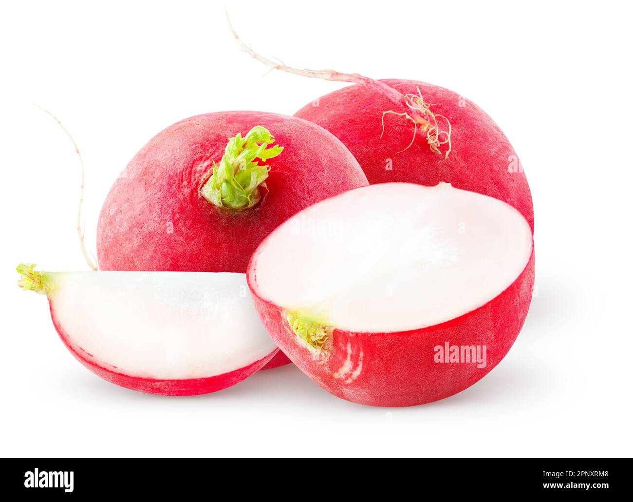 Isolated group of radishes. Raw two whole, half and piece of radish ...