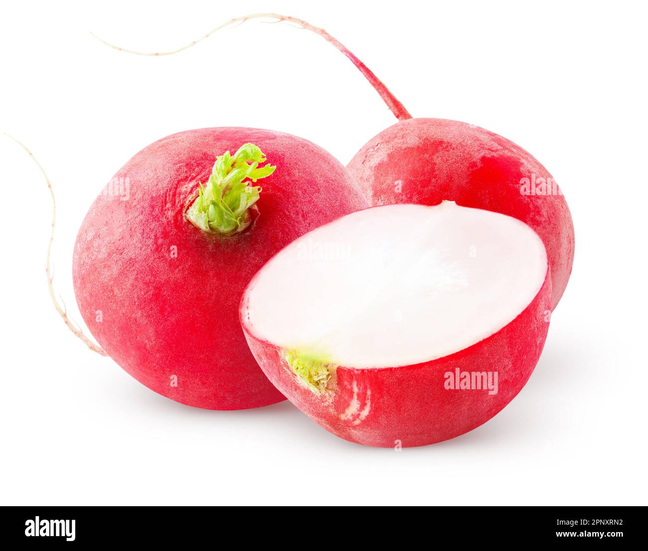 Isolated radishes. Two radish vegetables with half isolated on white ...