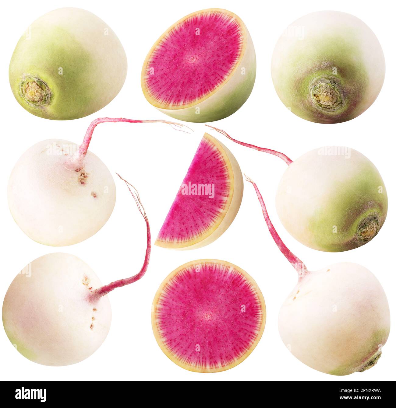 Collection of watermelon radishes. Different angles of whole, half and ...