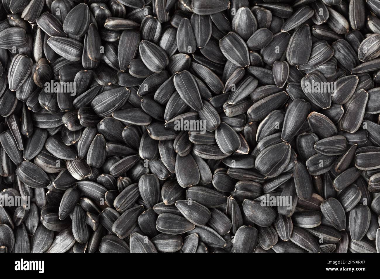 Black sunflower seeds. Texture, background Stock Photo - Alamy