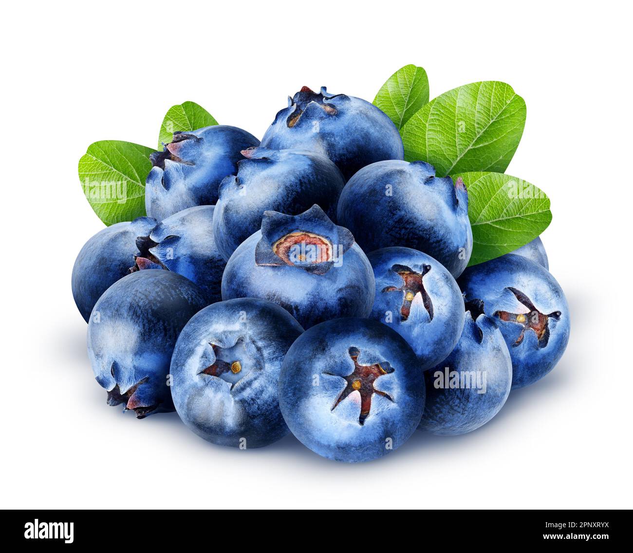 Isolated blueberries. Pile of fresh blueberry fruits with leaves isolated on white background ...