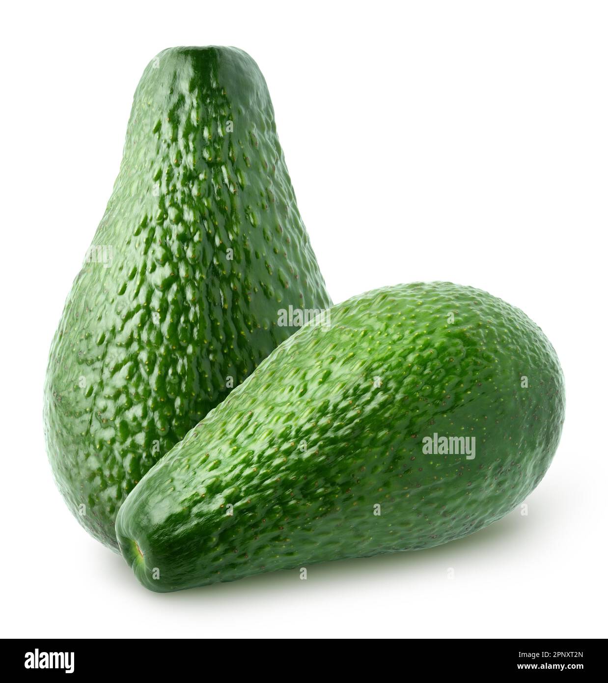 Isolated avocados. Two whole avocado fruits isolated on white ...