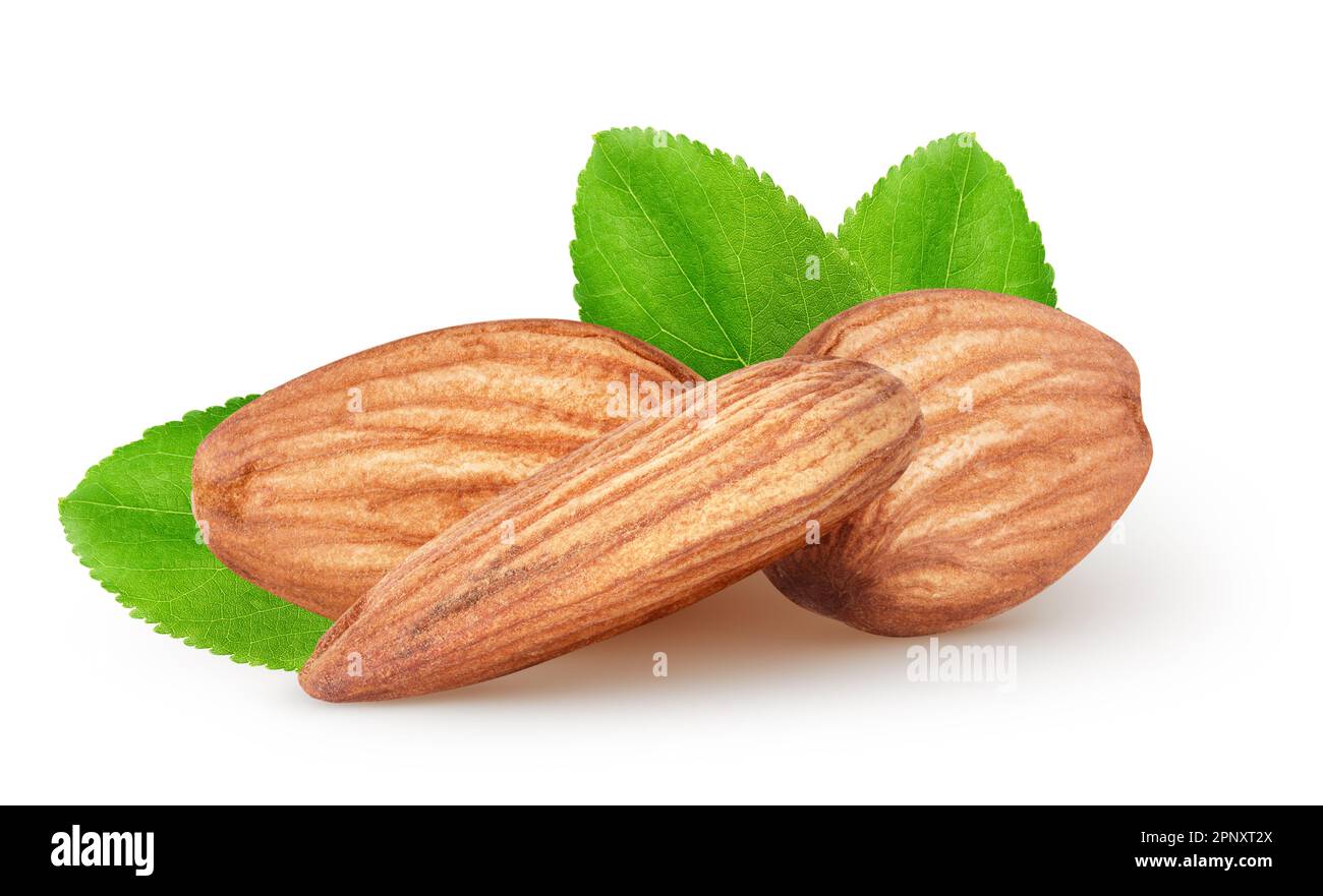 Isolated almonds. Bunch of almonds with leaves isolated on white ...