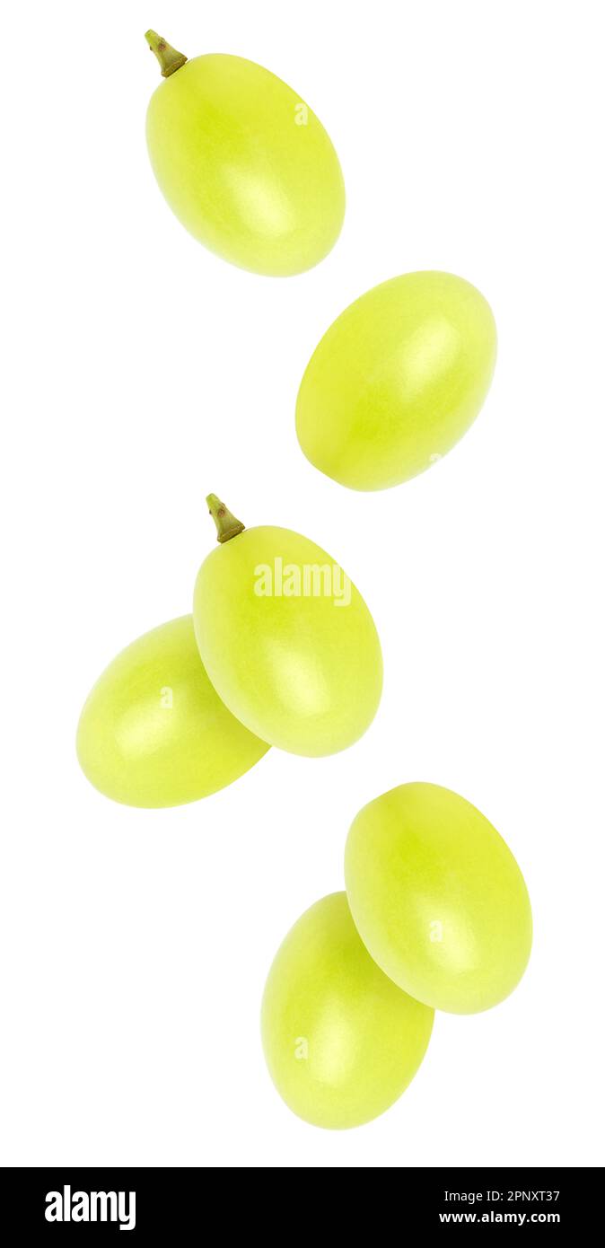 Isolated flying grapes. Falling grape fruits isolated on white ...
